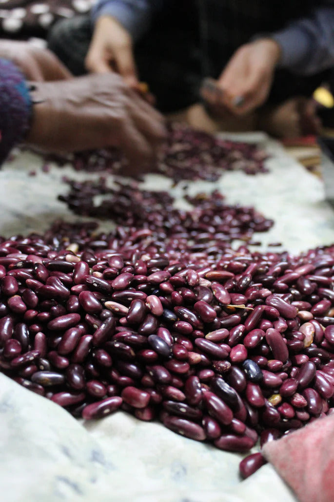 Order Pulses & Rice Online in India | Free Shipping – Earth's own